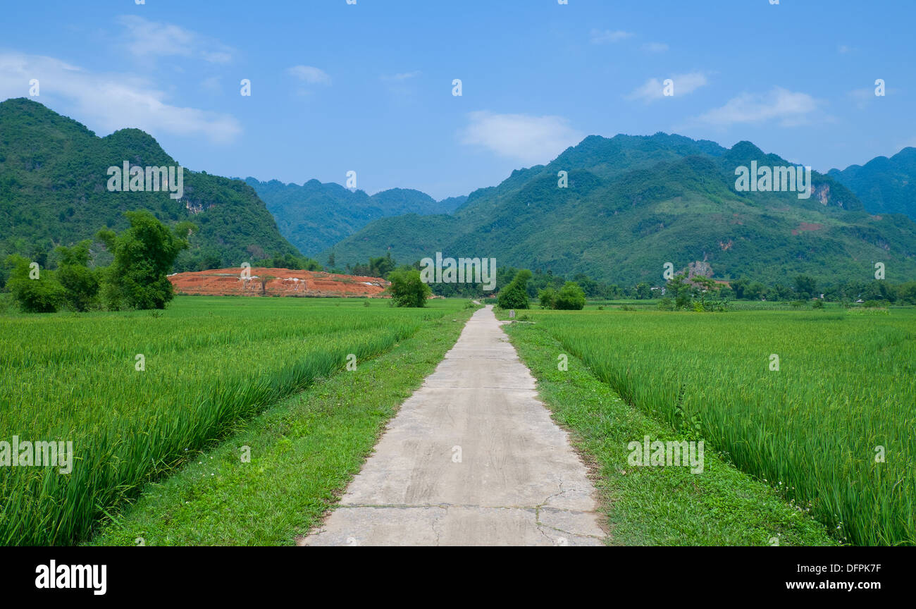 Empty field and grass hi-res stock photography and images - Alamy