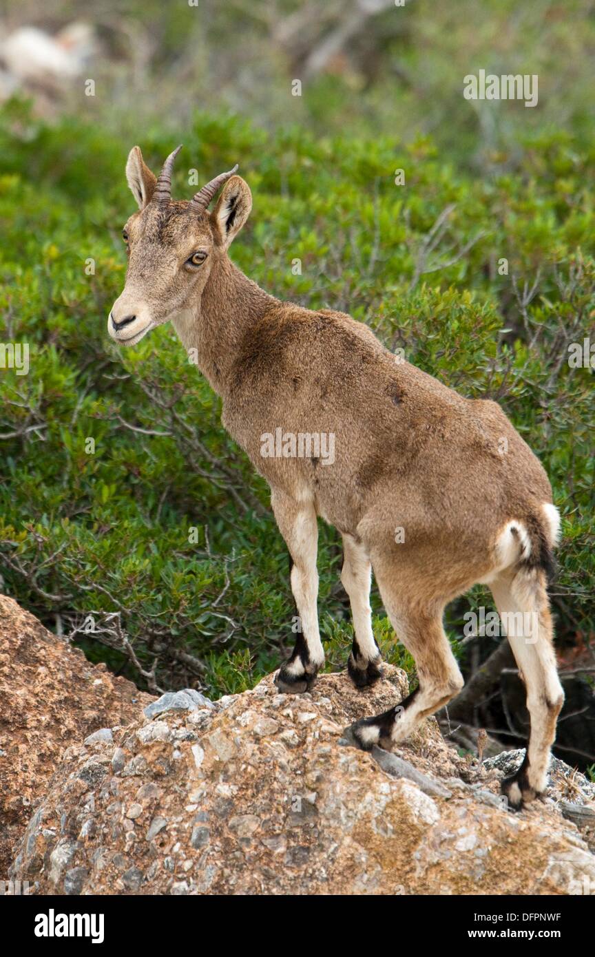 Orientacion vertical hi-res stock photography and images - Alamy