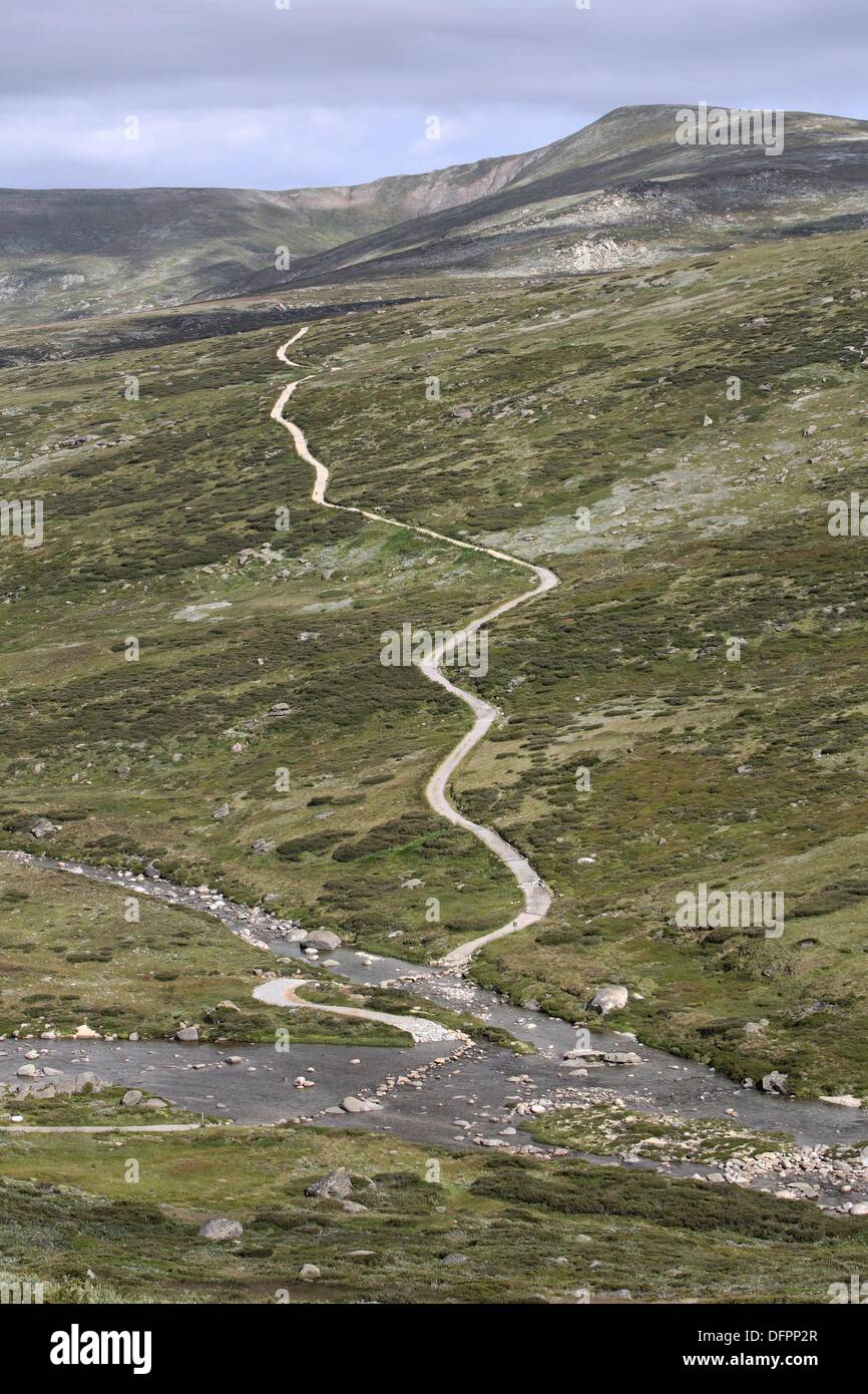 Australian Alps Walking Track High Resolution Stock Photography and ...