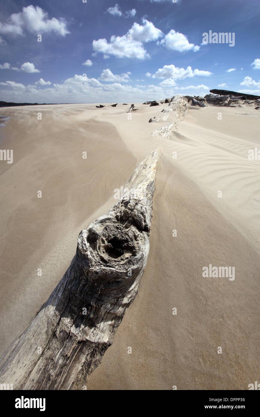 Fable 3 Sand Fury Outfit