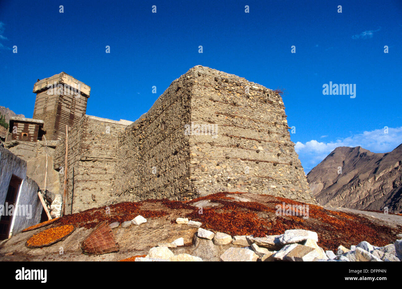 Hunza apricots pakistan hi-res stock photography and images - Alamy