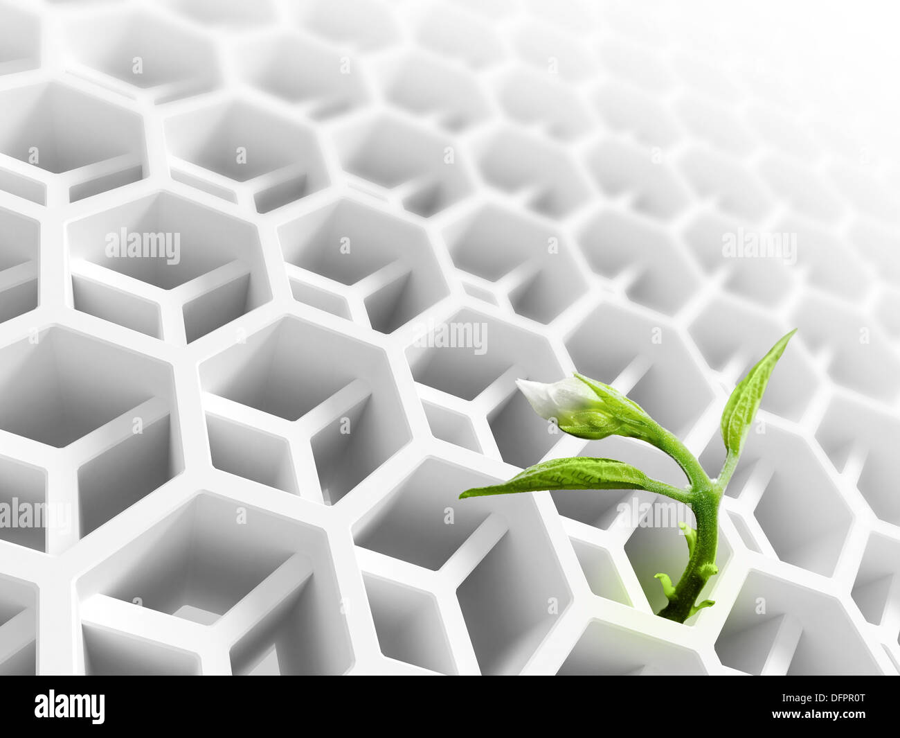 Little green flower sprout grows through abstract white modern ...