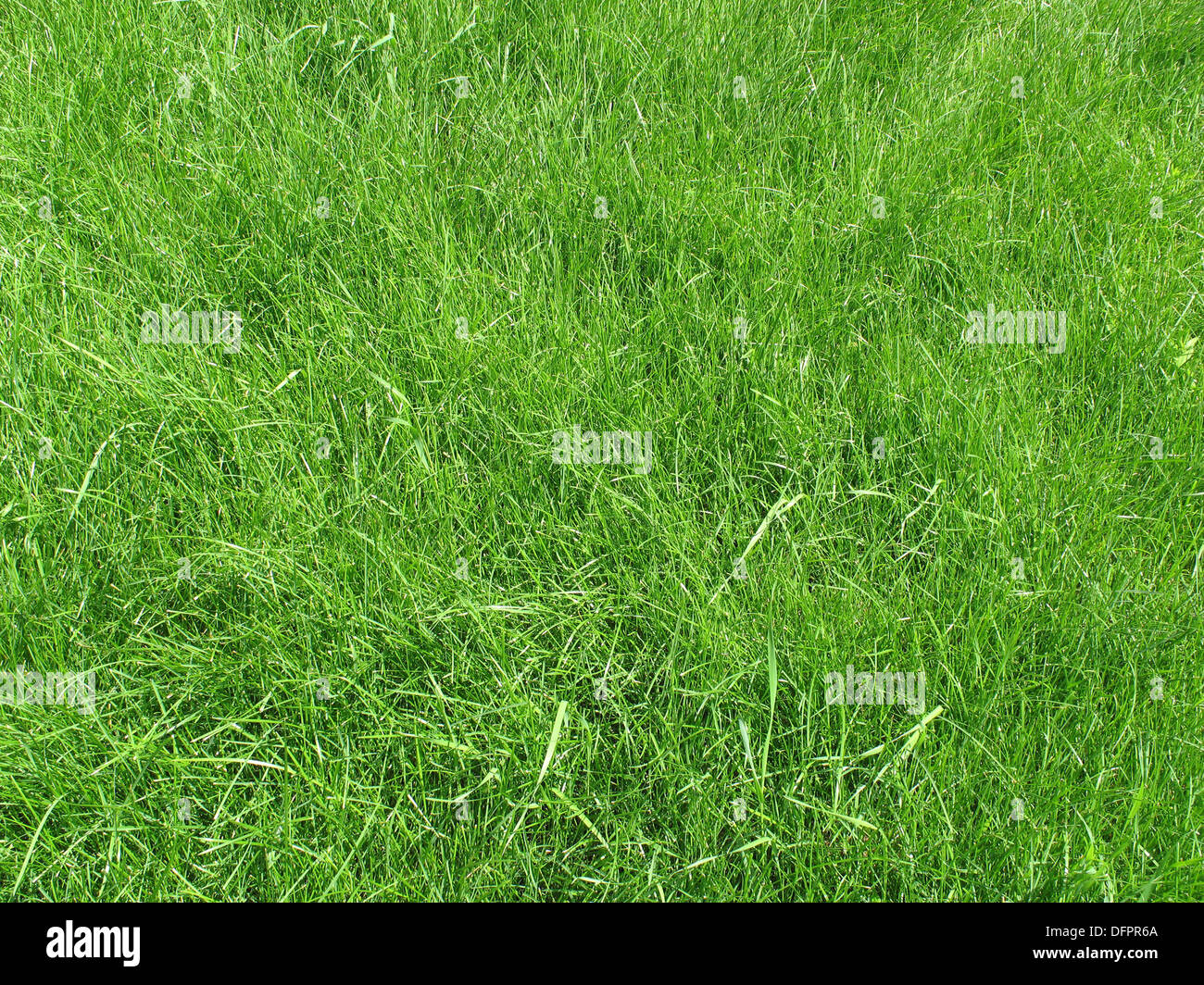 Color environment hi-res stock photography and images - Alamy