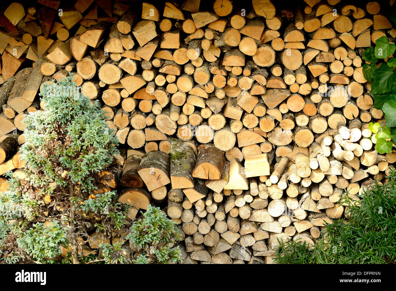 Firewoods hi-res stock photography and images - Alamy