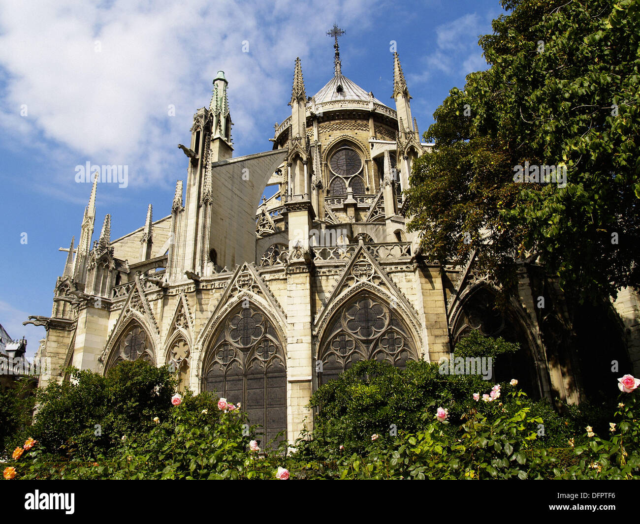 Cathedra High Resolution Stock Photography and Images - Alamy