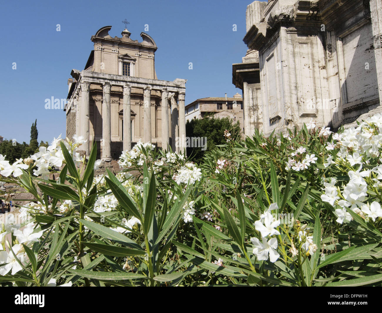 Antoninus Pius And Faustina Temple High Resolution Stock Photography ...
