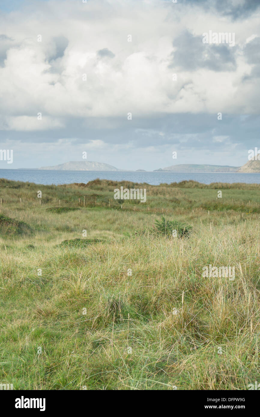 Rough pasture and sand dunes behind Porth Neigwl with Bardsey Island on ...