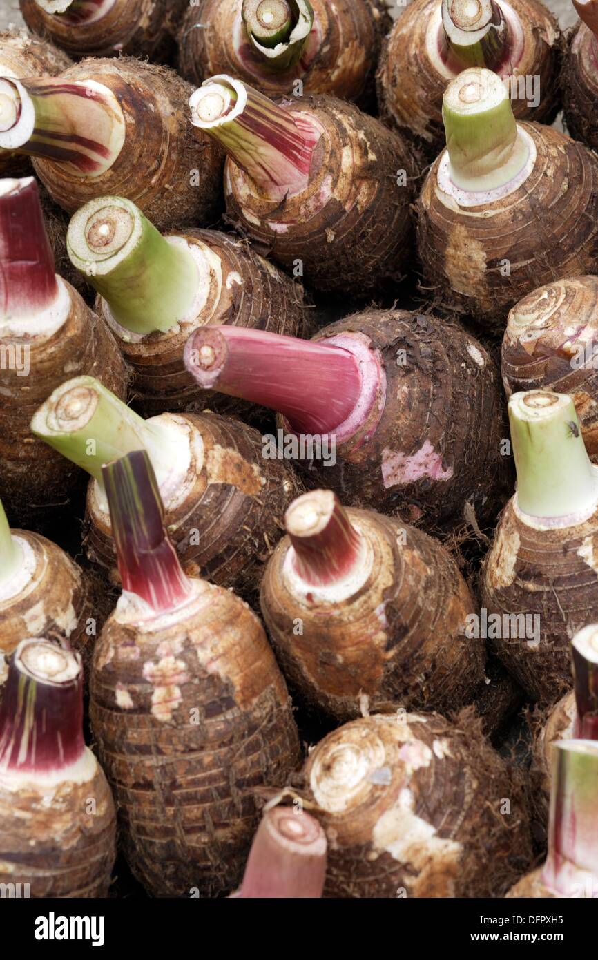 Market Port Vila Vanuatu South High Resolution Stock Photography and ...