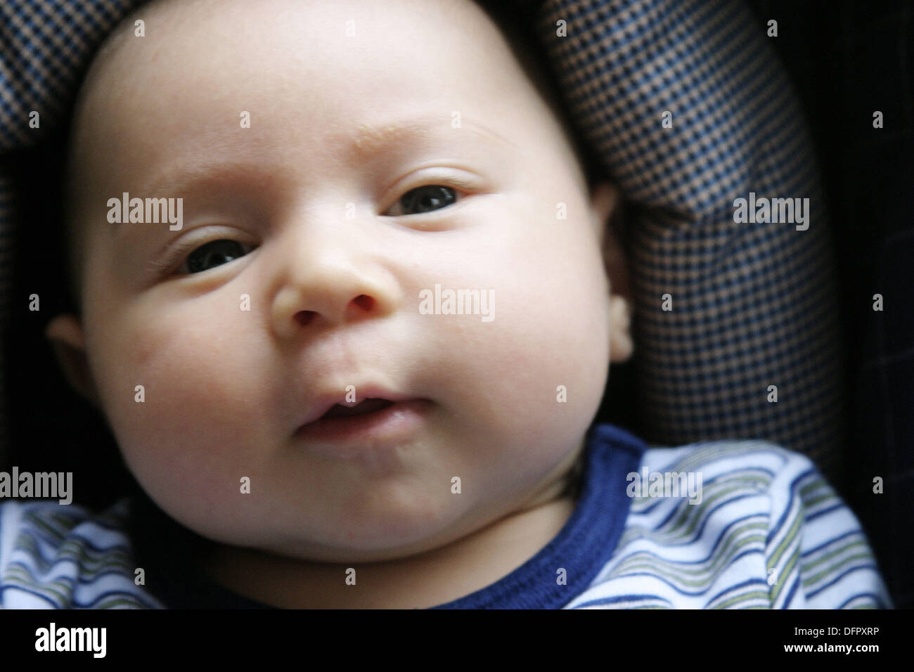 Seven-week-old baby boy Stock Photo - Alamy