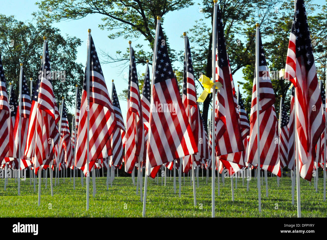 American Flags all in a row Stock Photo - Alamy