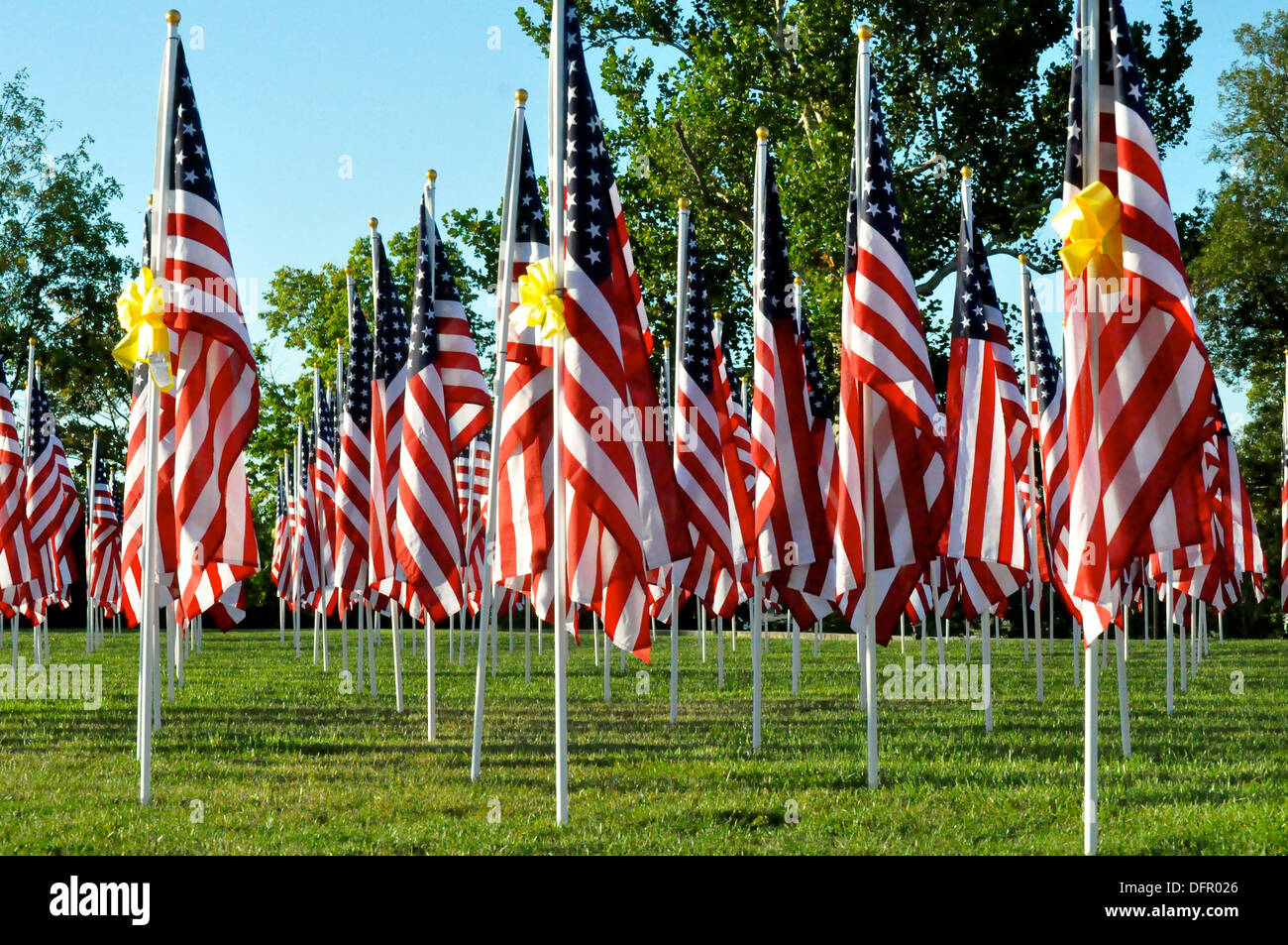 American Flags all in a row Stock Photo - Alamy