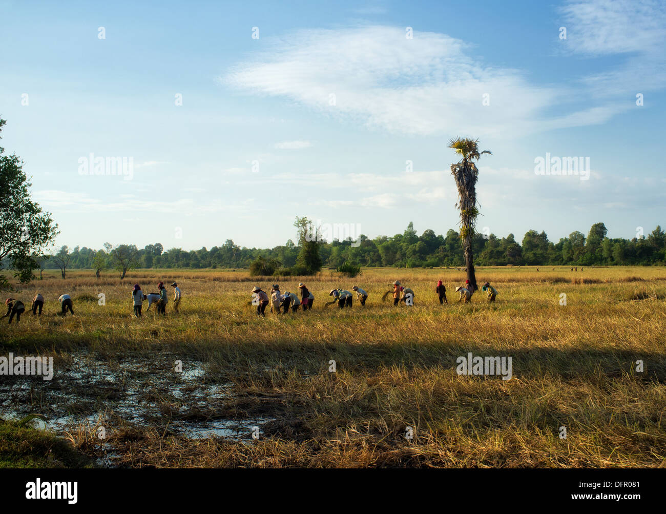 Cambodian natural landscape hi-res stock photography and images - Alamy