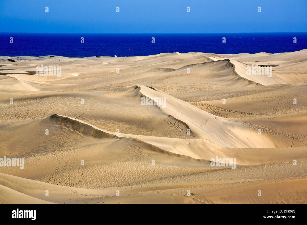 Dunas de la costa hi-res stock photography and images - Alamy
