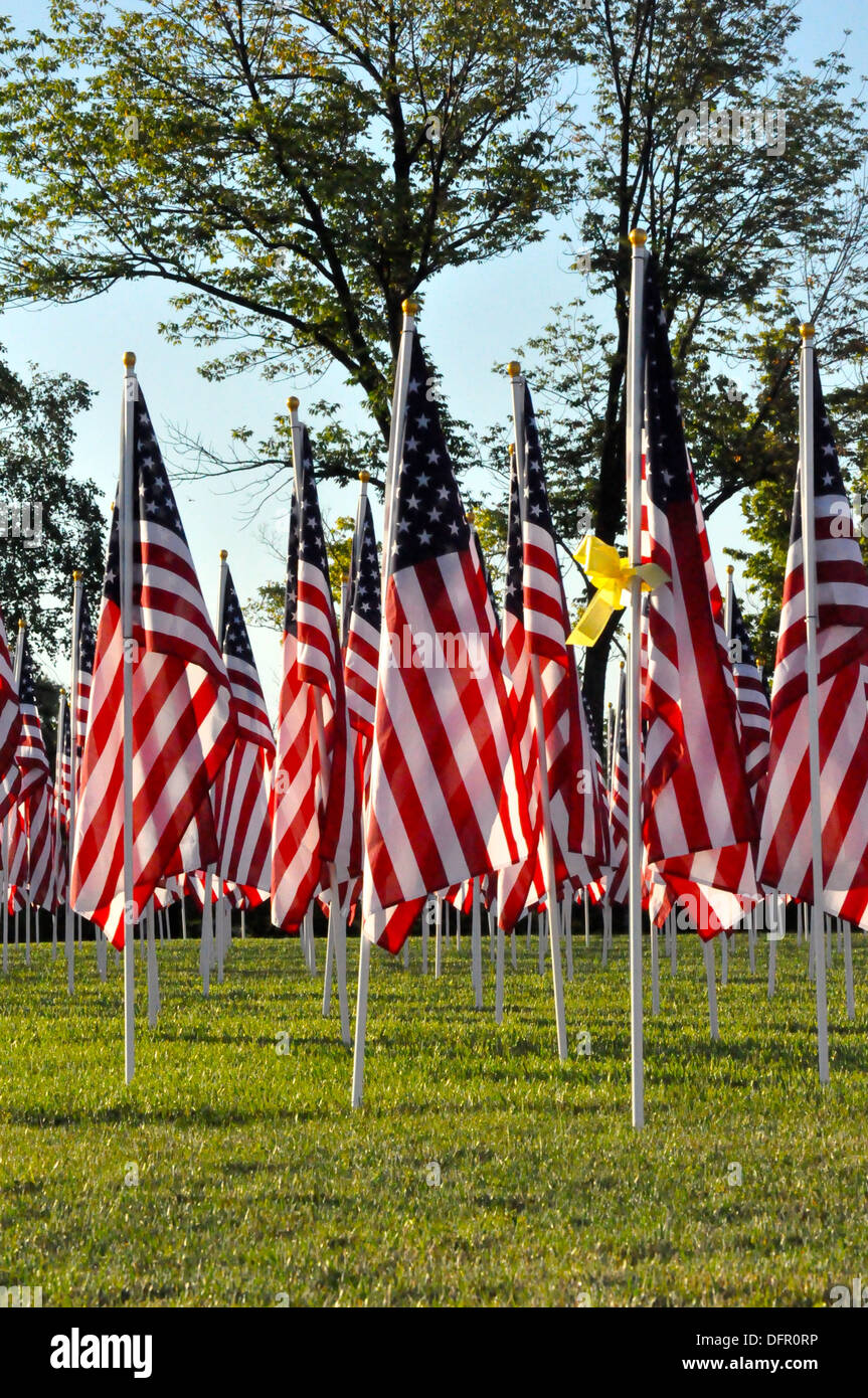 American Flags all in a row Stock Photo - Alamy