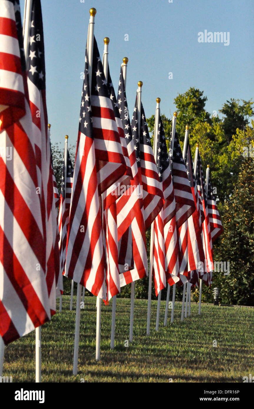 American Flags all in a row Stock Photo - Alamy