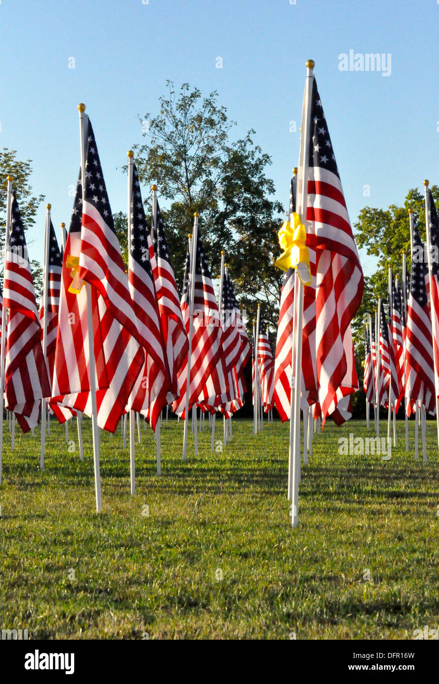 American Flags all in a row Stock Photo - Alamy