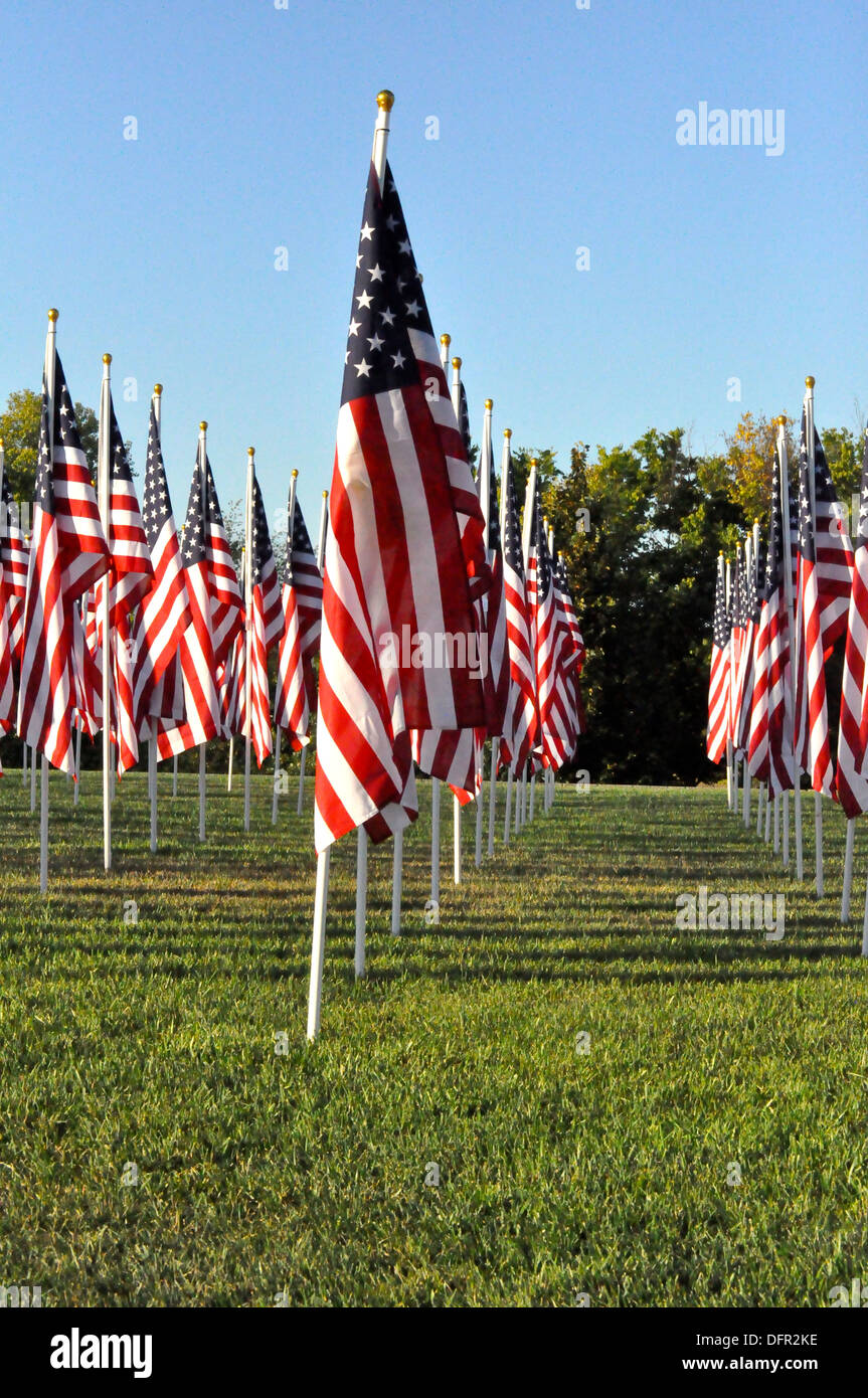 American Flags all in a row Stock Photo - Alamy