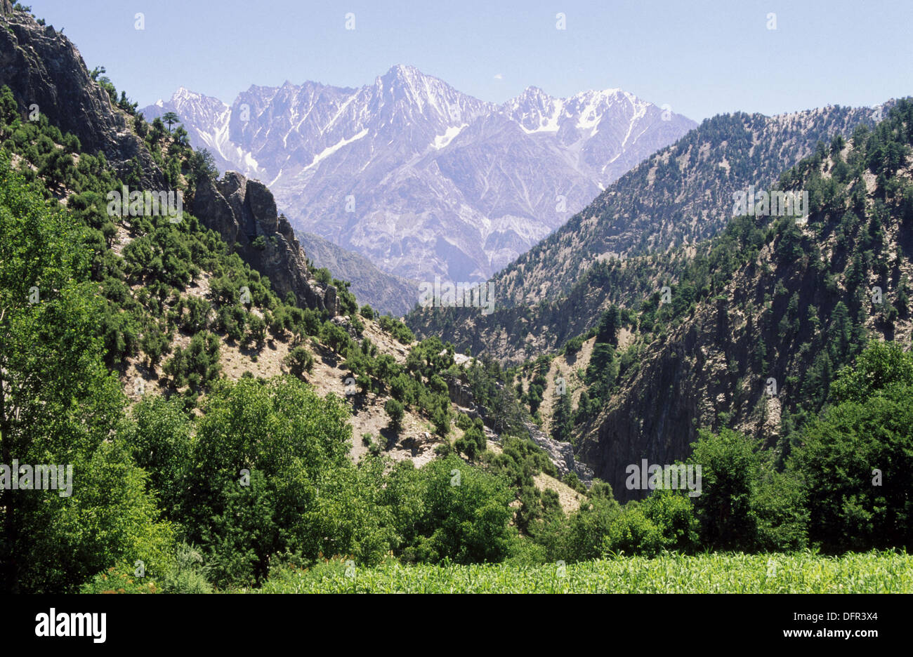 Rumbur hi-res stock photography and images - Alamy