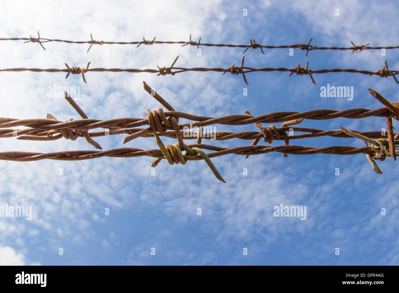Tangled barbed wire hi-res stock photography and images - Alamy