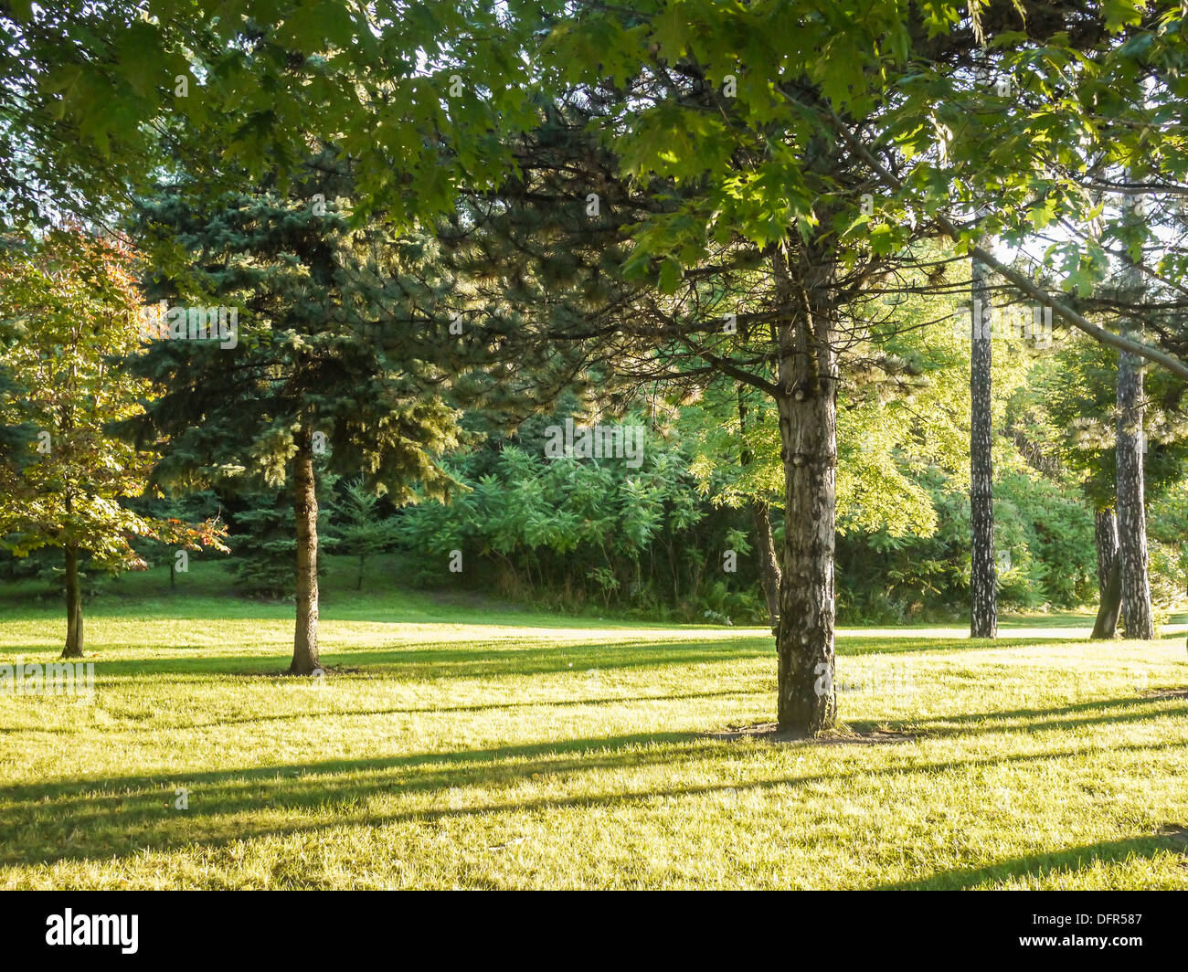 Sunlight hi-res stock photography and images - Alamy