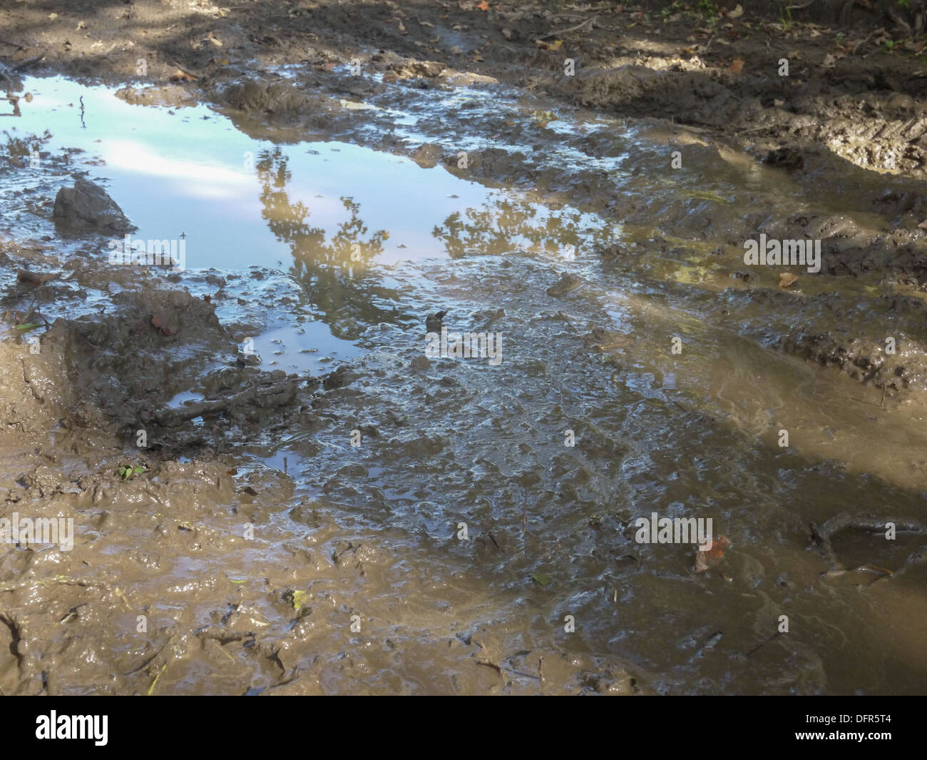 Very muddy hi-res stock photography and images - Alamy
