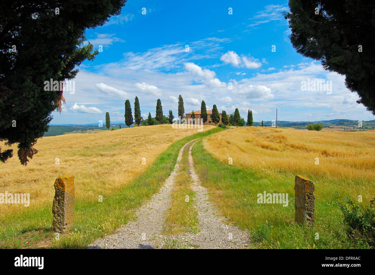 Val d´Orcia Orcia Valley Farm with cypress trees Fields and Farmhouses ...