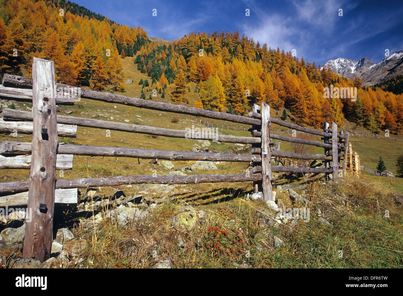 Solda hi-res stock photography and images - Alamy