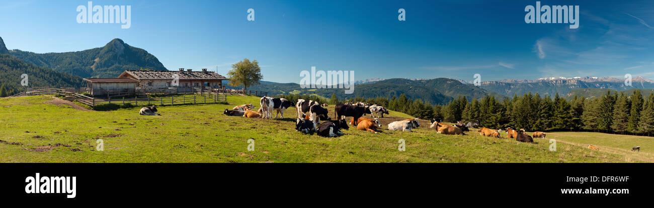Hut with cow hi-res stock photography and images - Alamy
