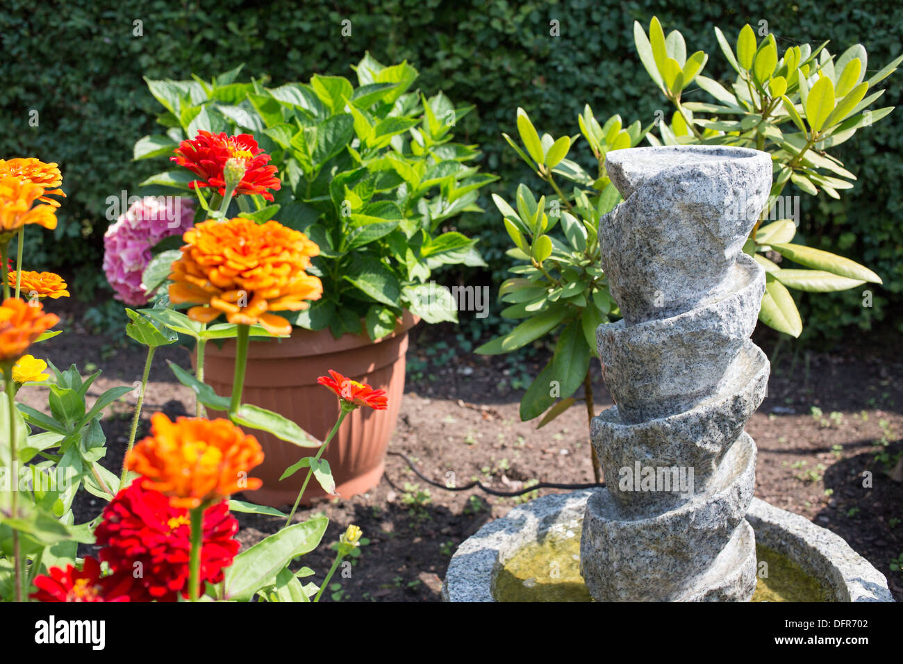 Beautyfull garden hi-res stock photography and images - Alamy