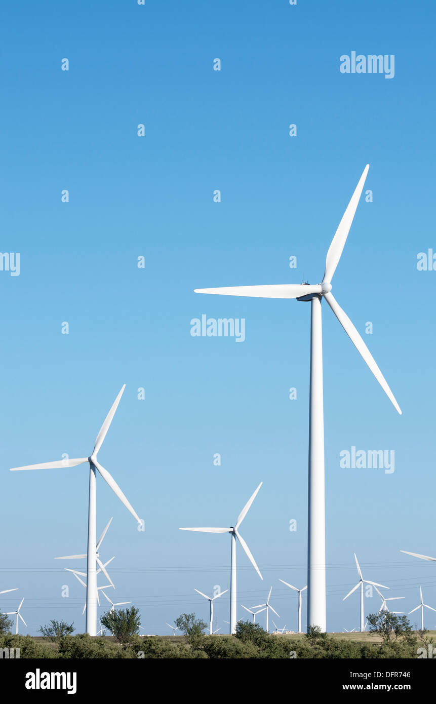 group of windmills for renewable electric energy production Stock Photo ...
