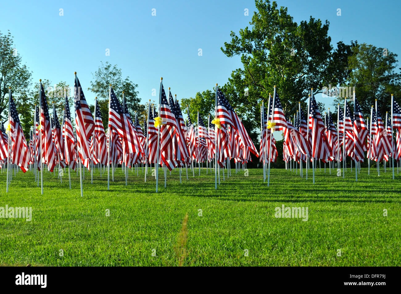 American Flags all in a row Stock Photo - Alamy