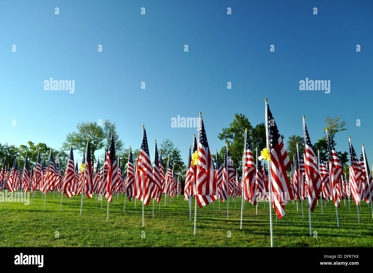 American Flags all in a row Stock Photo - Alamy