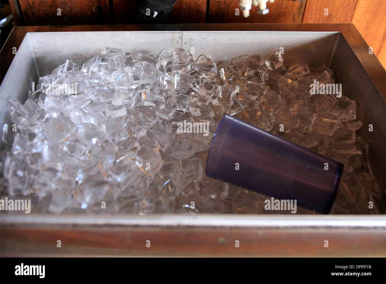 Tray of ice cubes Stock Photo - Alamy