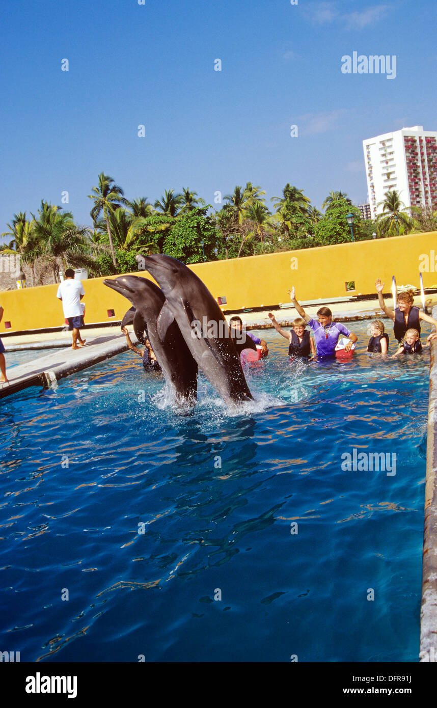 Dolphins get a goodbye wave from swimming guests at Definiti Ixtapa ...