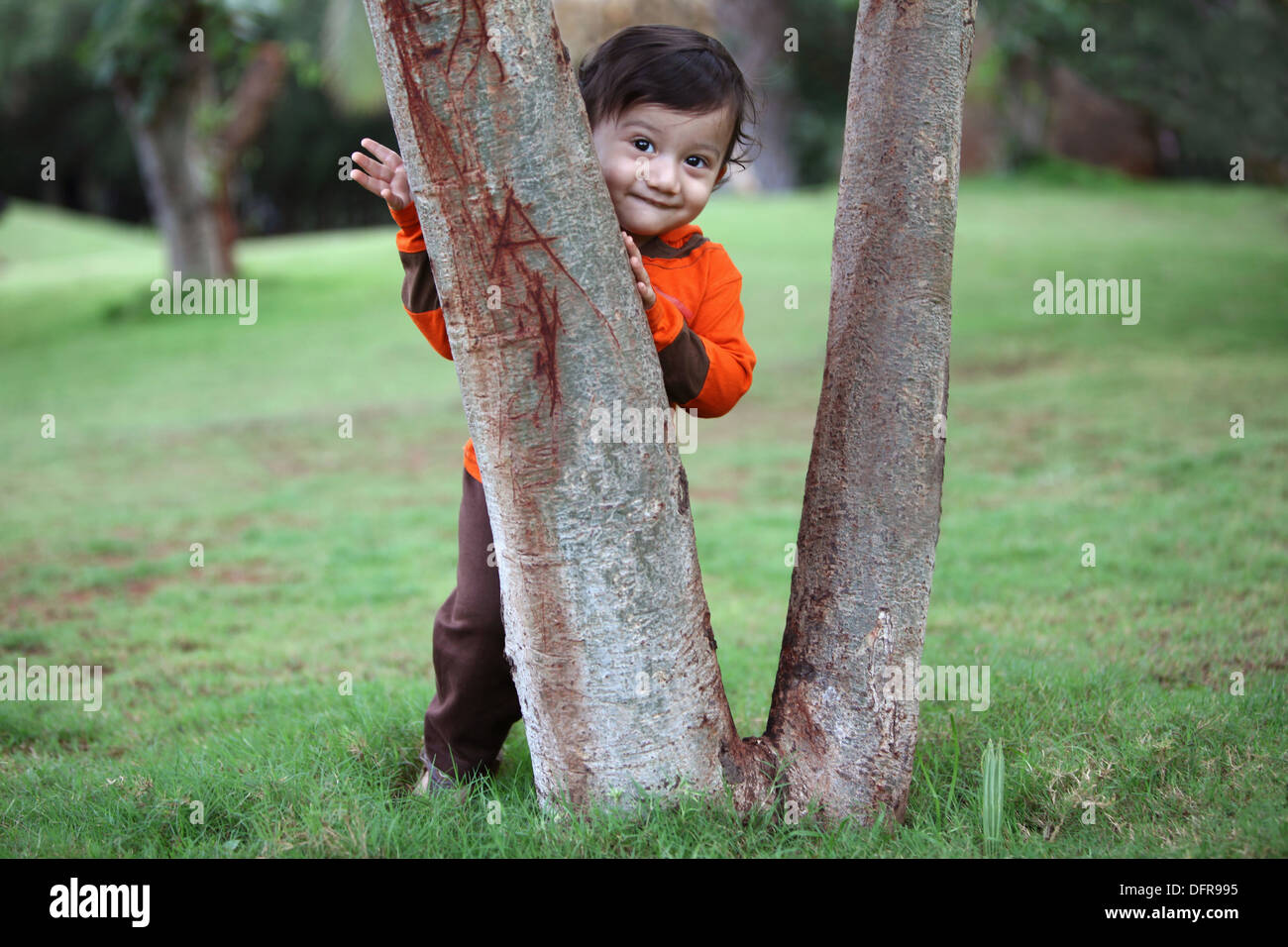 A 3 year old boy looking from behind the tree Stock Photo - Alamy