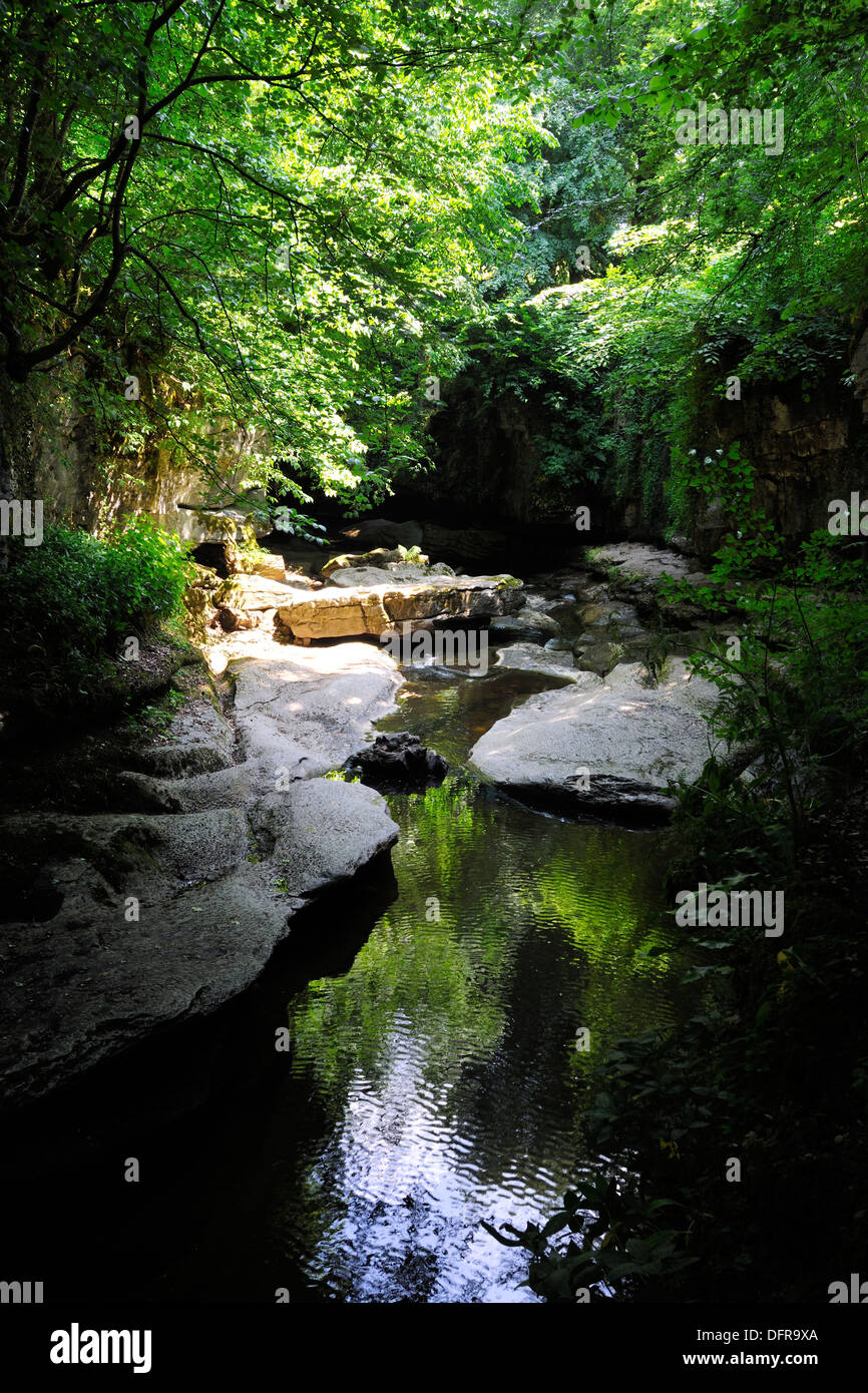 Canopy Reflections High Resolution Stock Photography and Images - Alamy