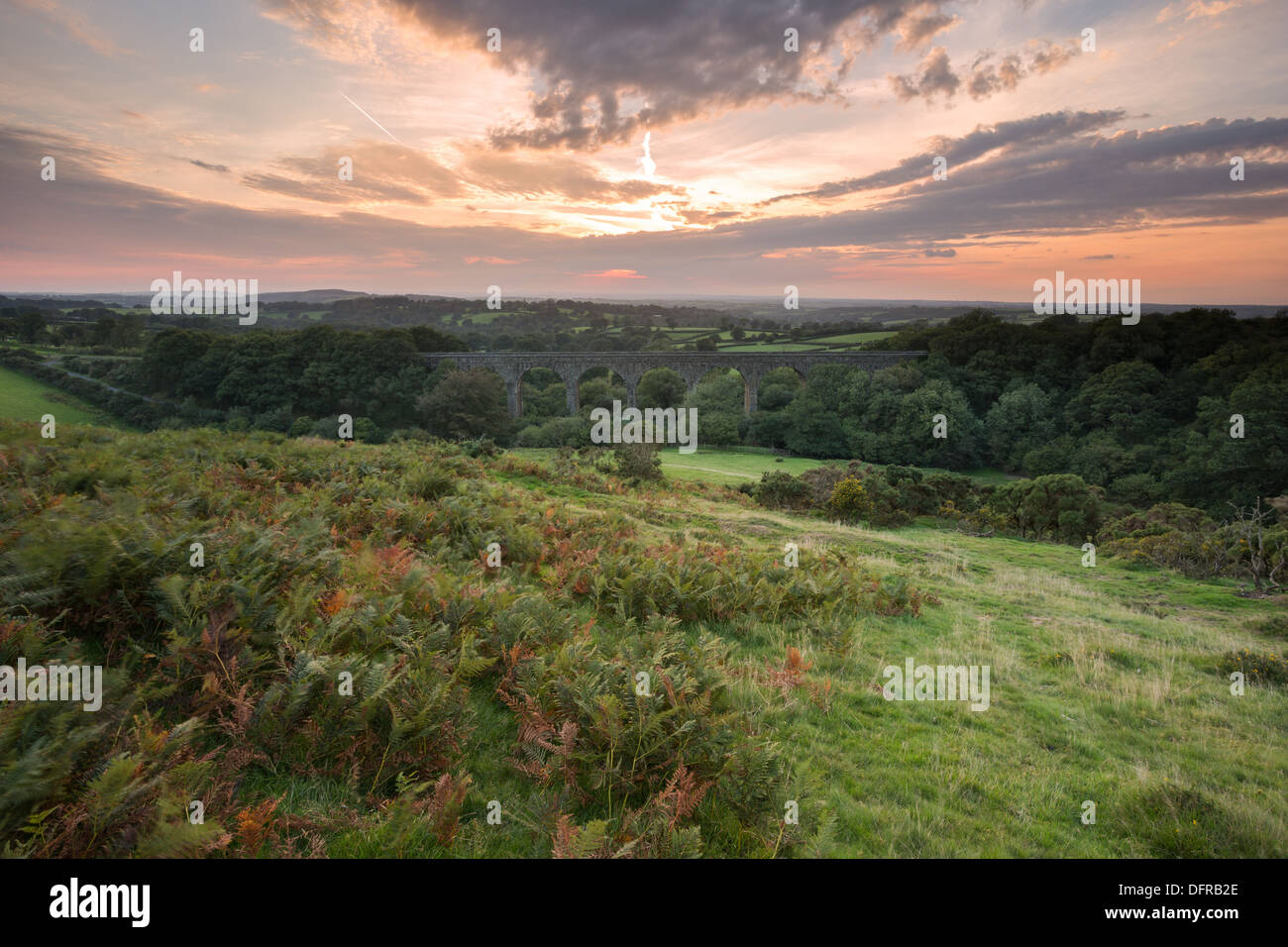 Devon scenic railway hi-res stock photography and images - Alamy