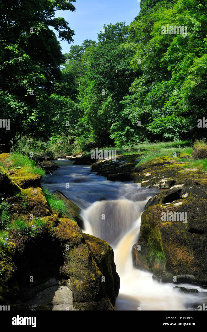 Yorkshire dales river wharfe hi-res stock photography and images - Alamy