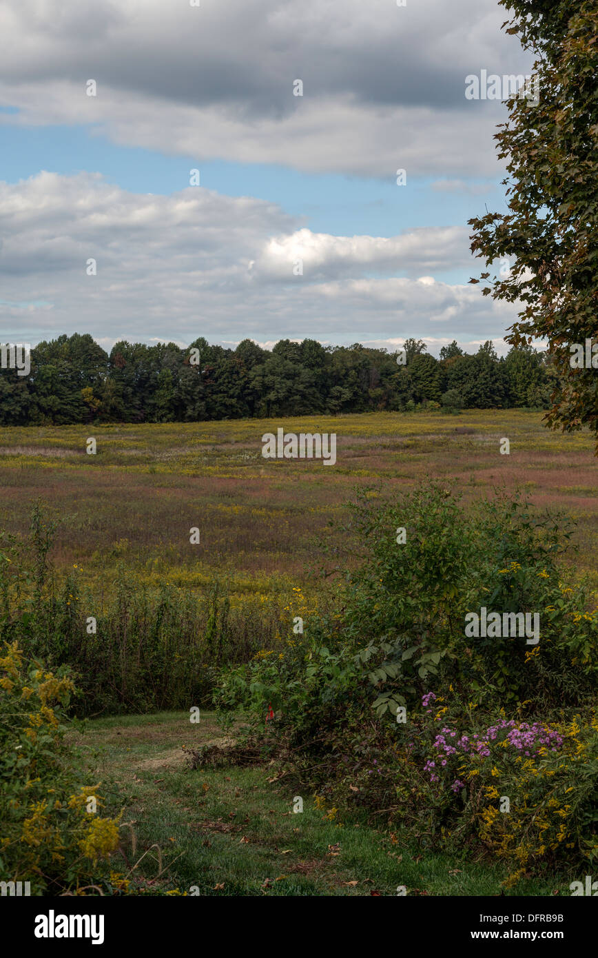 Longwood garden hi-res stock photography and images - Alamy