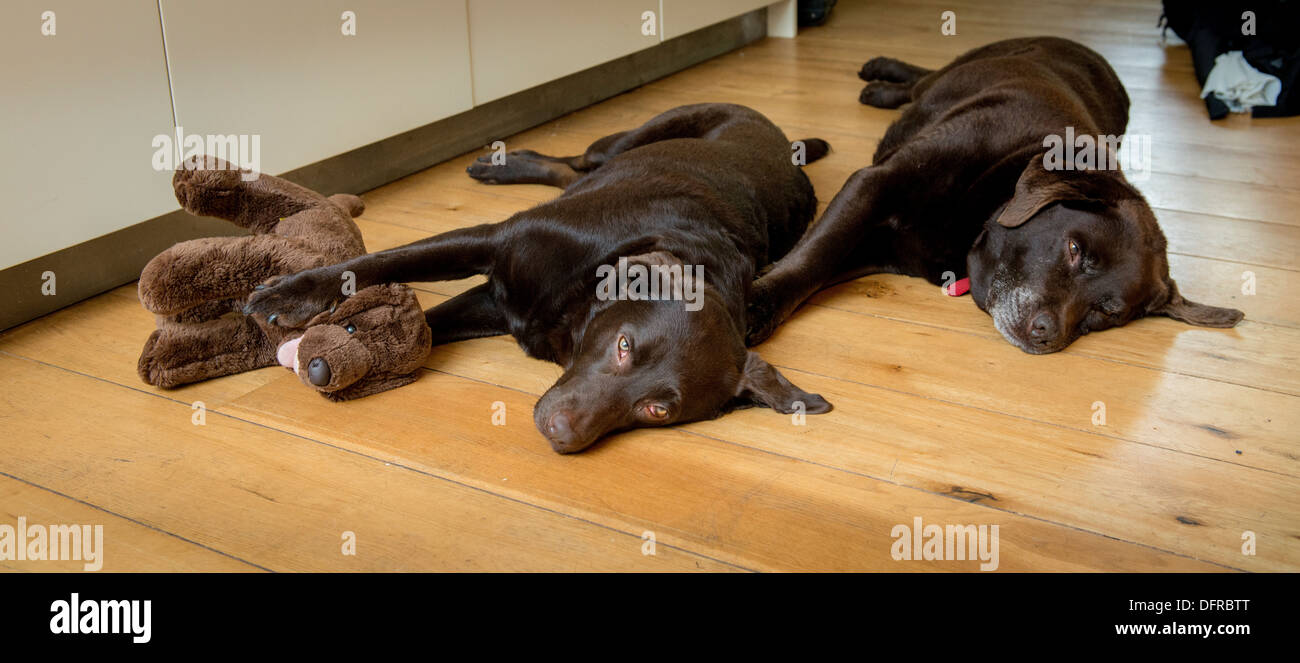 Andrew fionda hi-res stock photography and images - Alamy