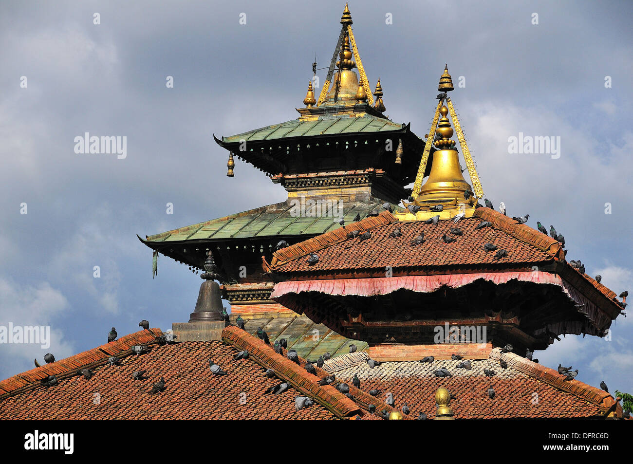 Hanu hi-res stock photography and images - Alamy