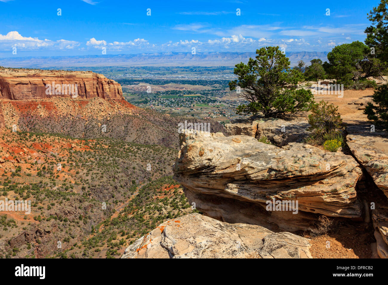 Shivers of hi-res stock photography and images - Alamy