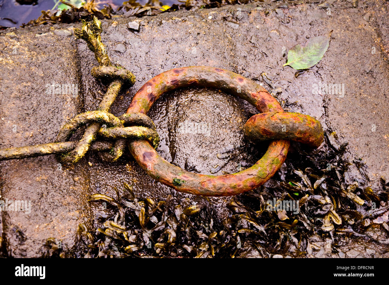 Rusting iron hi-res stock photography and images - Alamy