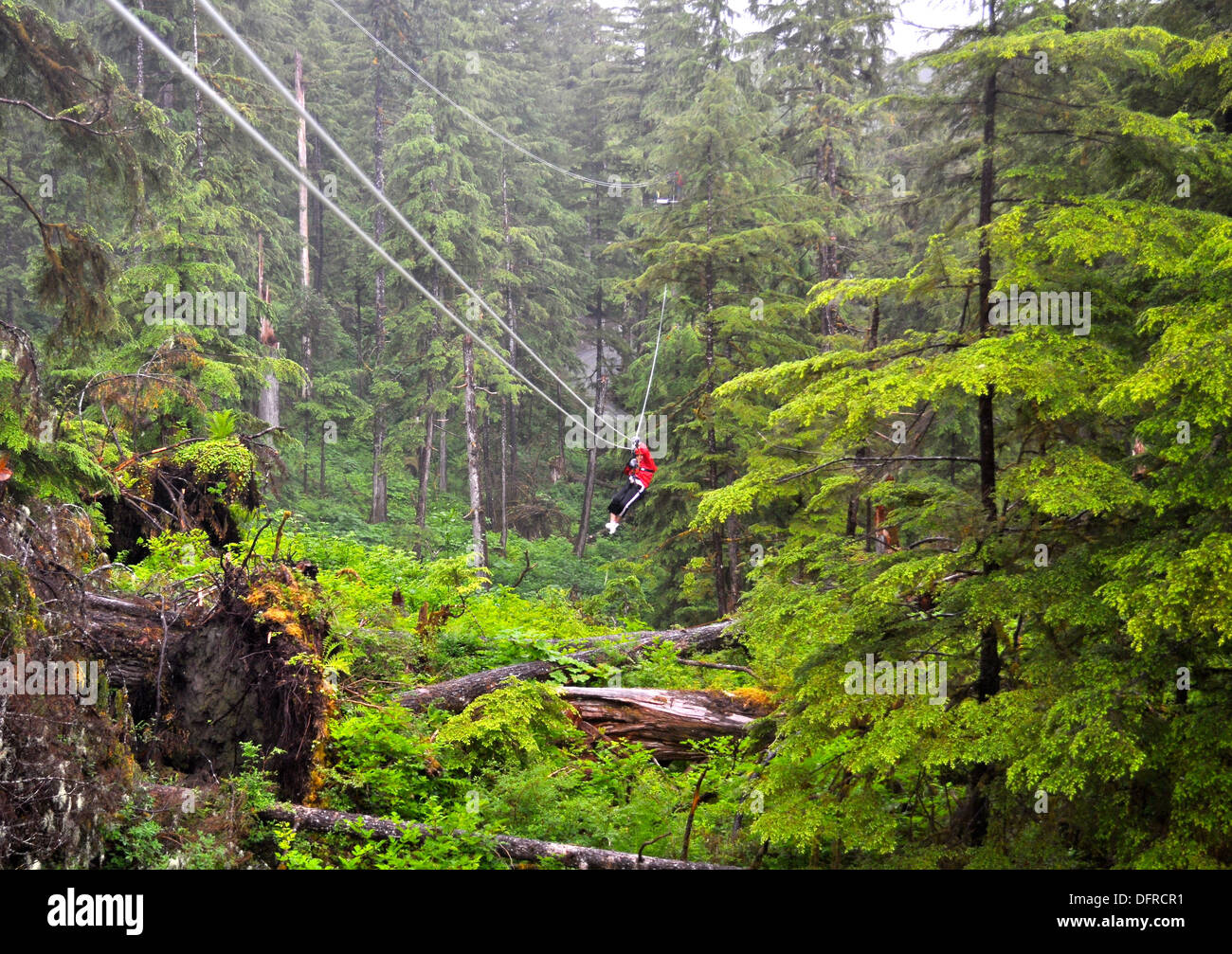 Boy ziplining hi-res stock photography and images - Alamy