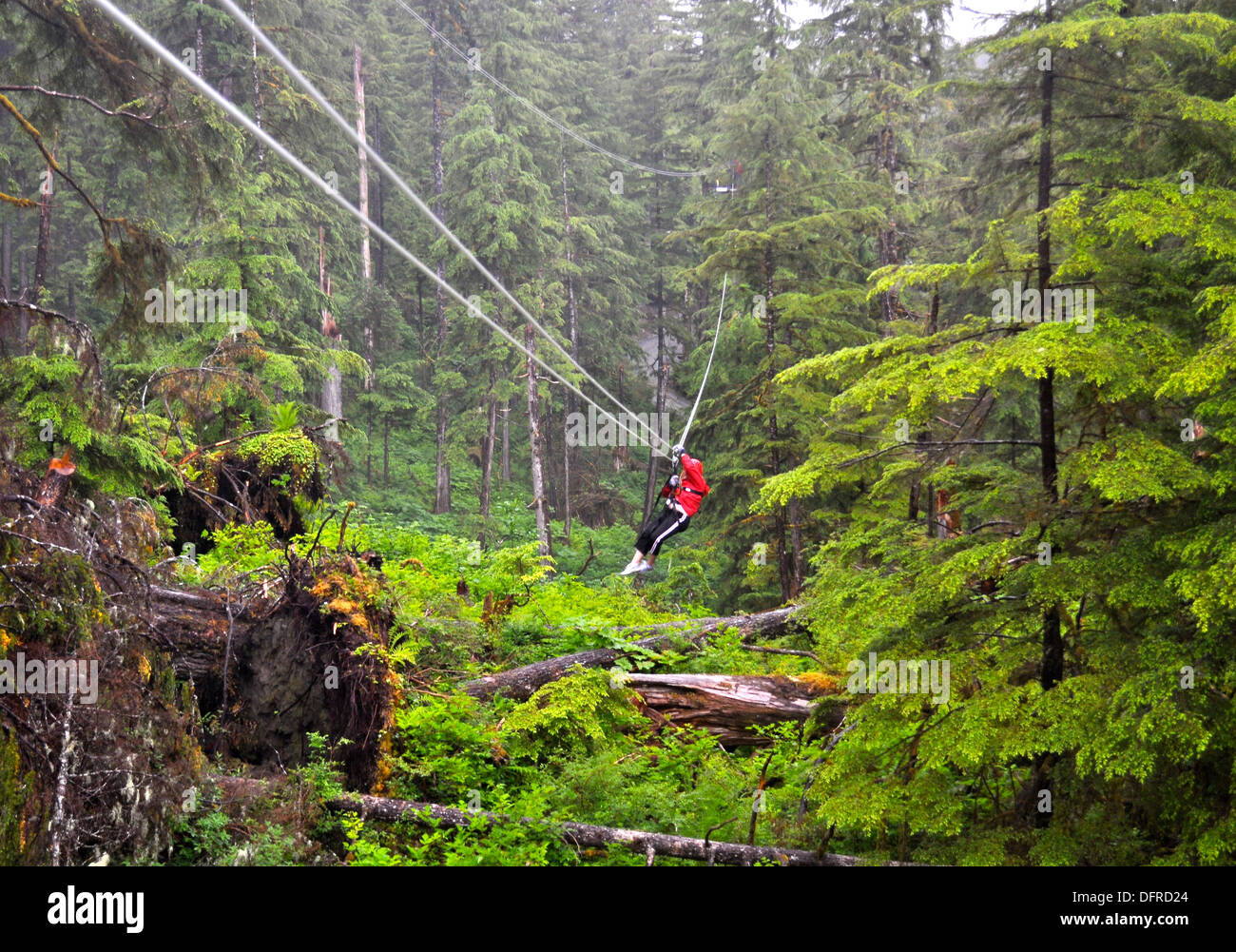 Boy ziplining hi-res stock photography and images - Alamy
