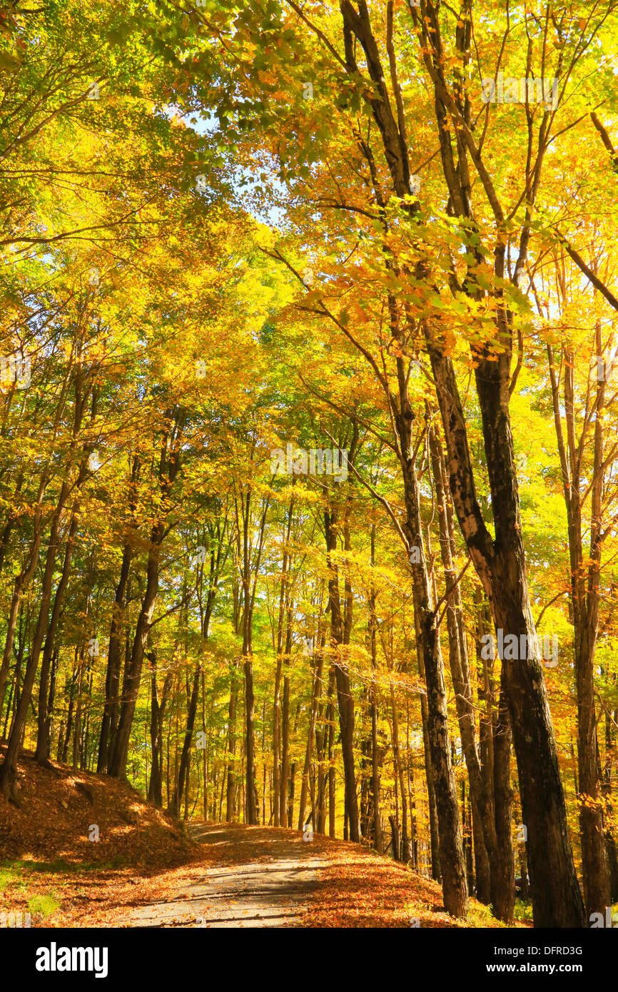 Western Highland County, Doe Hill, Virginia, USA Stock Photo - Alamy
