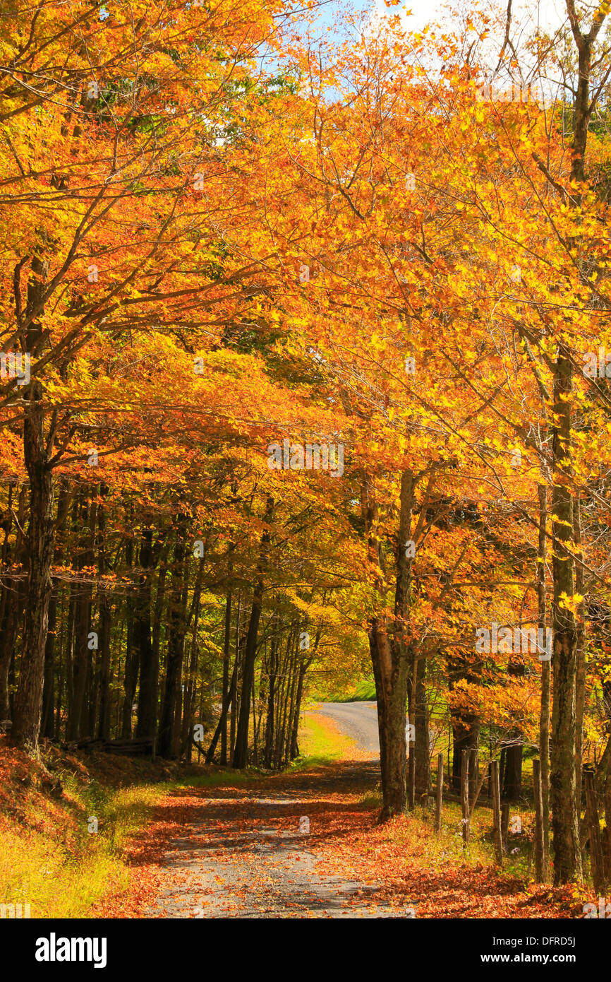 Doe hill virginia hi-res stock photography and images - Alamy