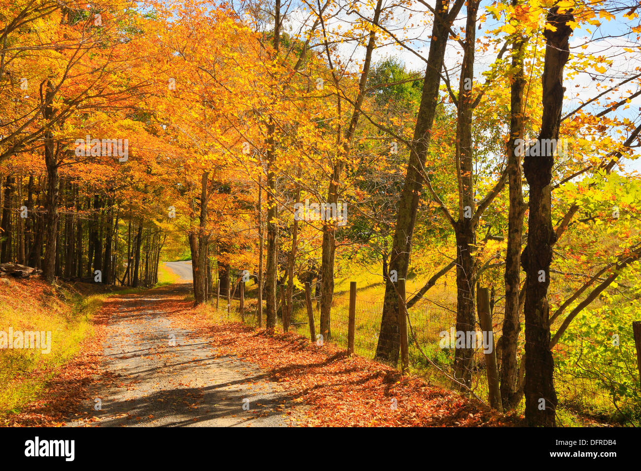 Western Highland County, Doe Hill, Virginia, USA Stock Photo - Alamy