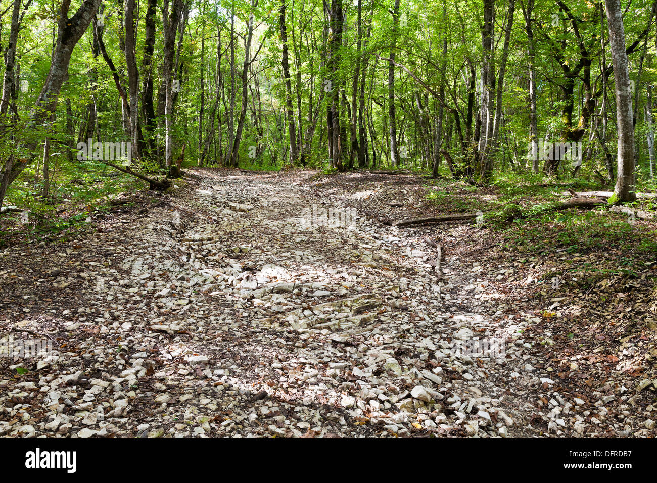 Dried stream bed hi-res stock photography and images - Alamy