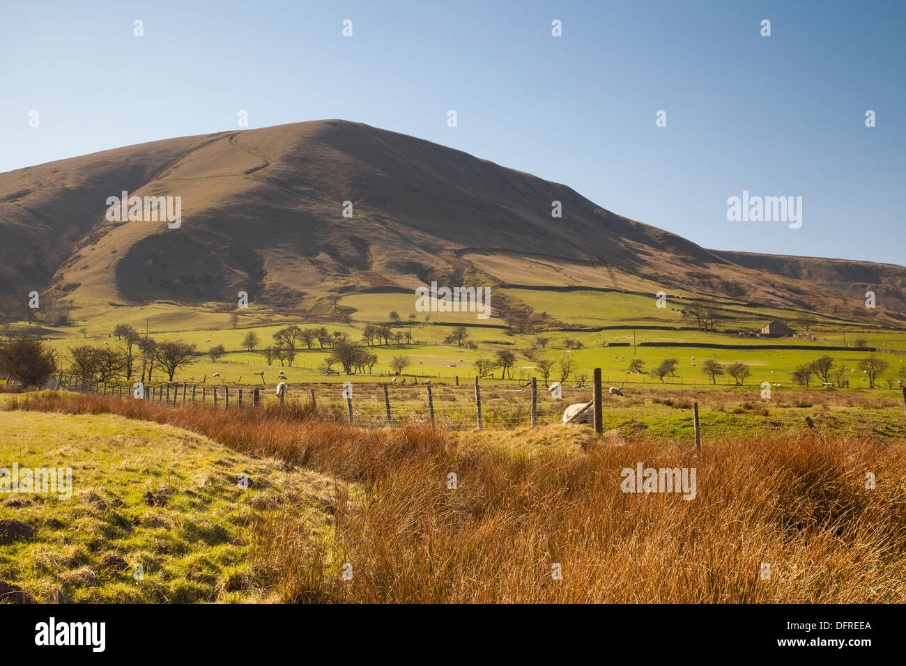 Broadlee bank tor hi-res stock photography and images - Alamy